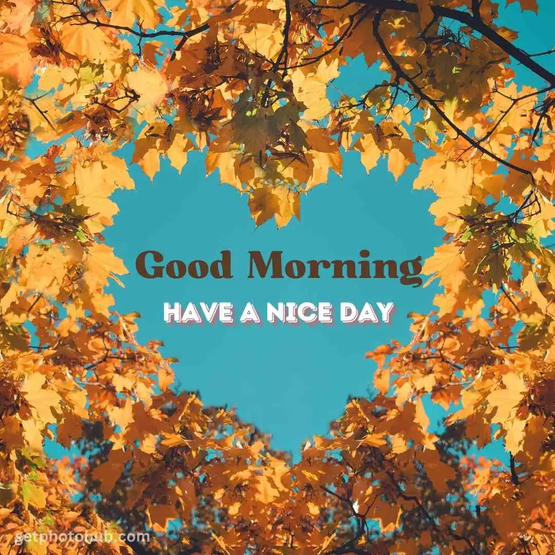 60+ Good Morning Fall Images, Pictures & Photos